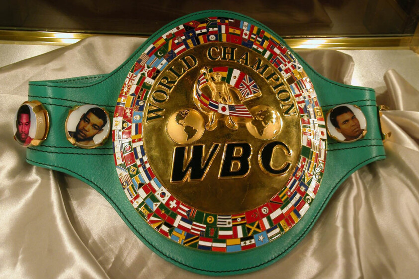 Why are there so many different boxing titles? - The answers you were ...