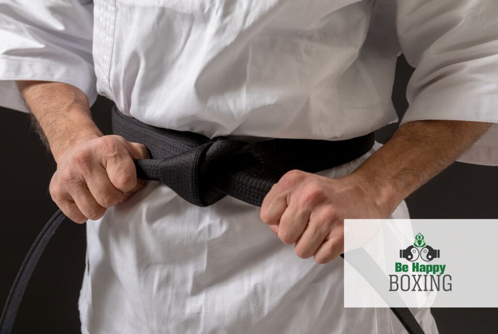 Karate vs. Boxing: Understanding the Key Differences - Be happy boxing