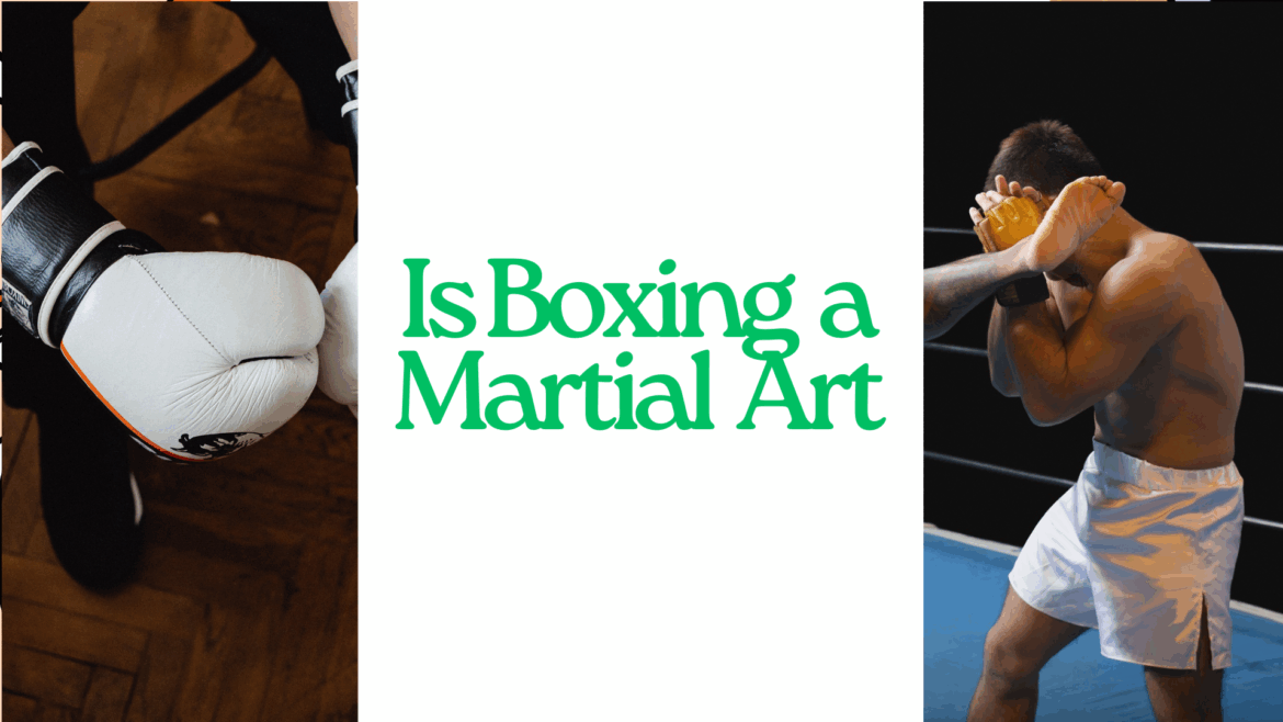 Is Boxing a Martial Art | Types of Punching Bags for Better Boxing